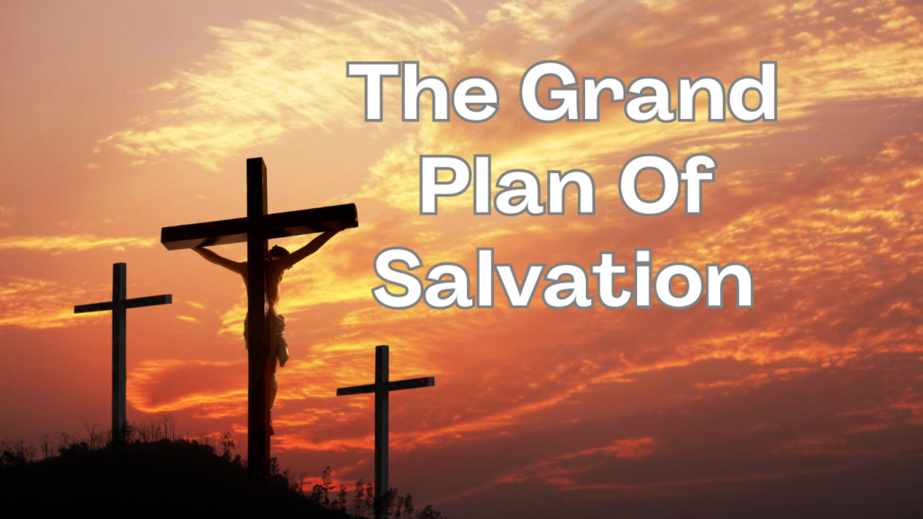 The Grand Plan Of Salvation - Bible Insights